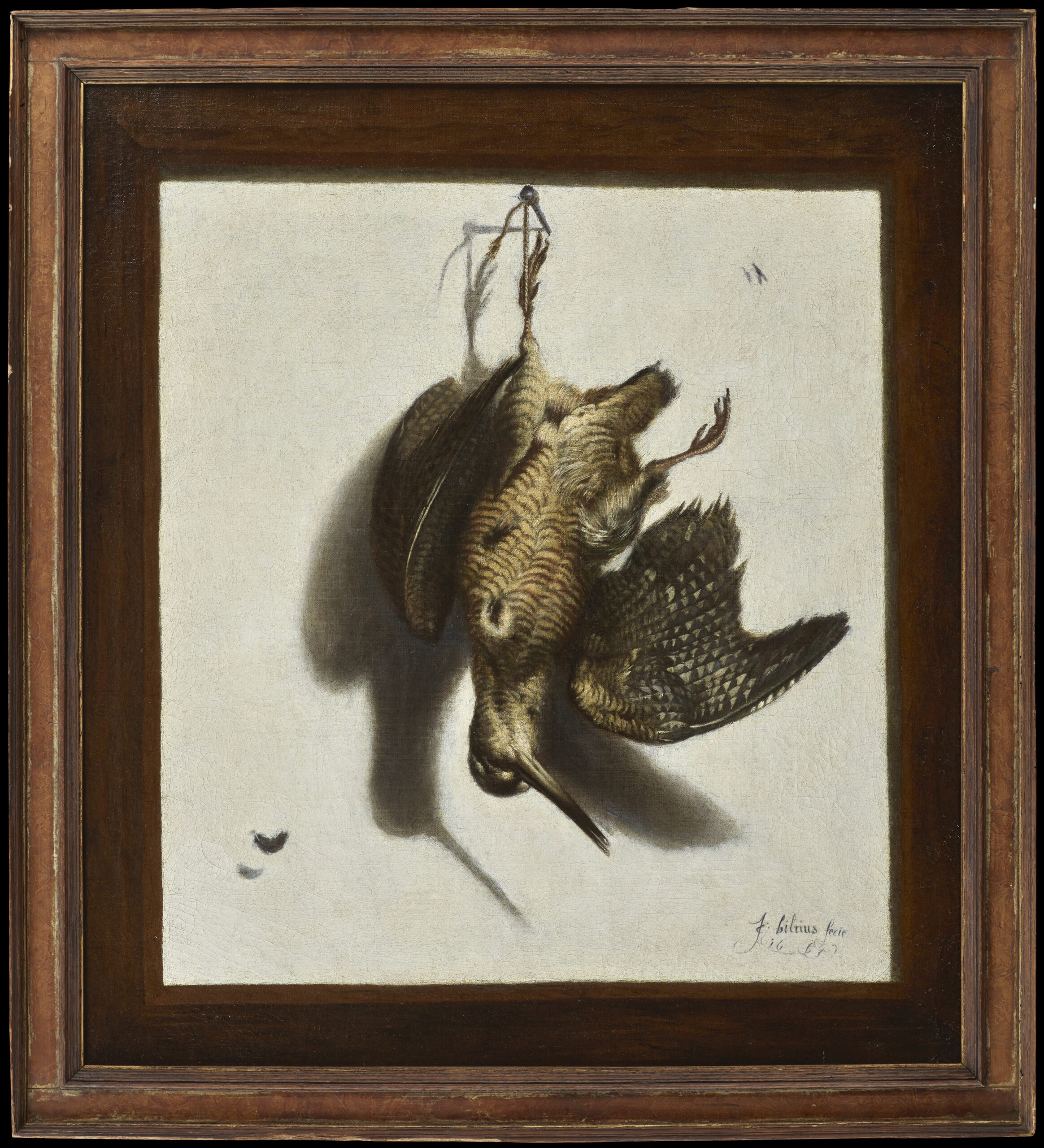 A Trompe L'Oeil Still Life of a Woodcock - Rafael VallsRafael Valls