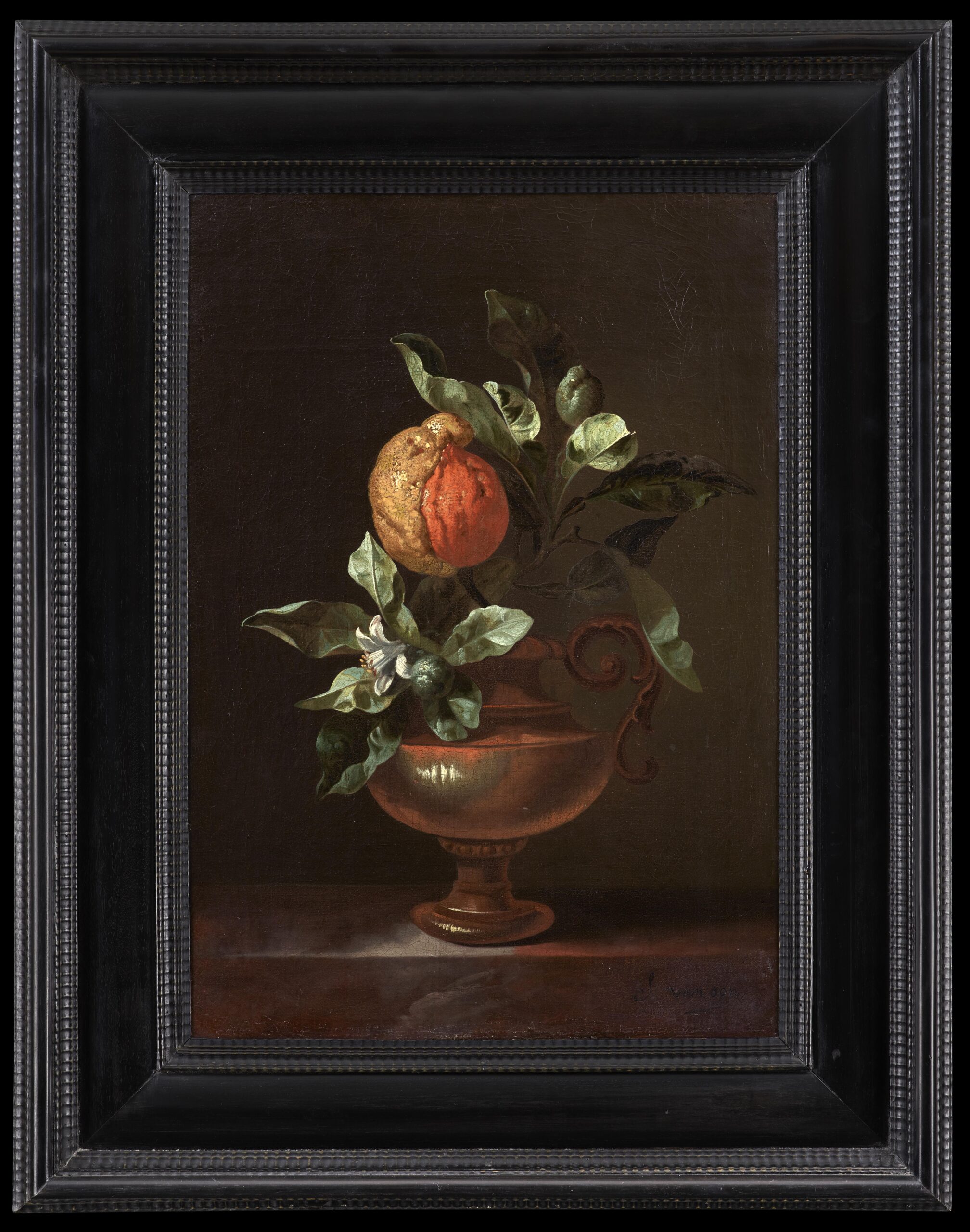 Home - Rafael VallsRafael Valls