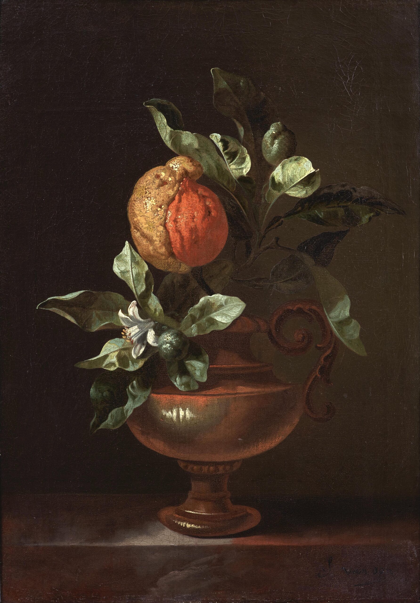 A Still-Life of a Bizzaria of Florence in a Gilt Vase resting on a ...
